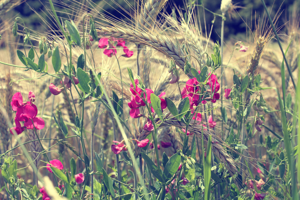5 Ways to Celebrate the Spring Equinox with Kids - Forest School For All