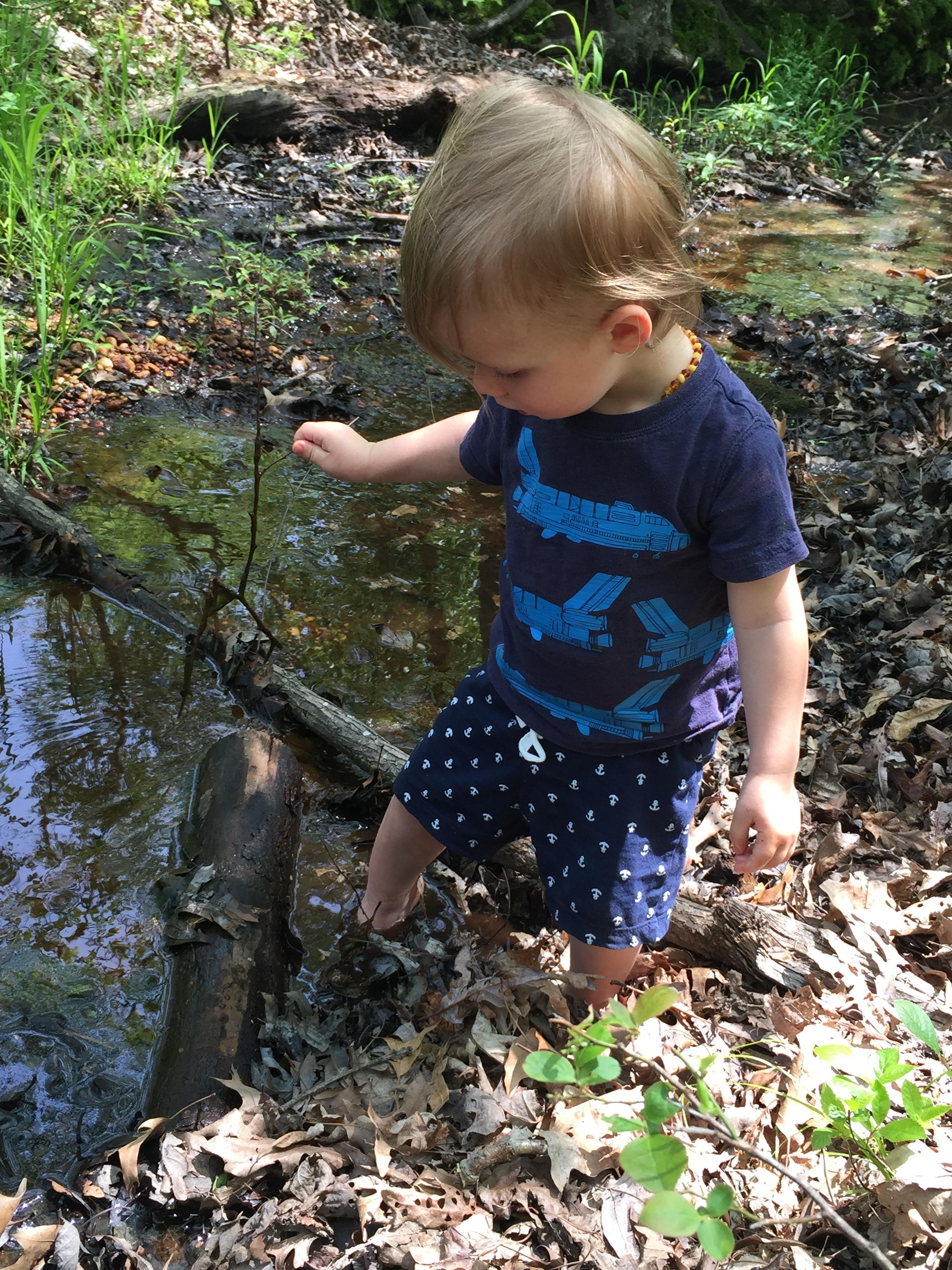 Forest Explorer's in Jackson! - Forest School For All